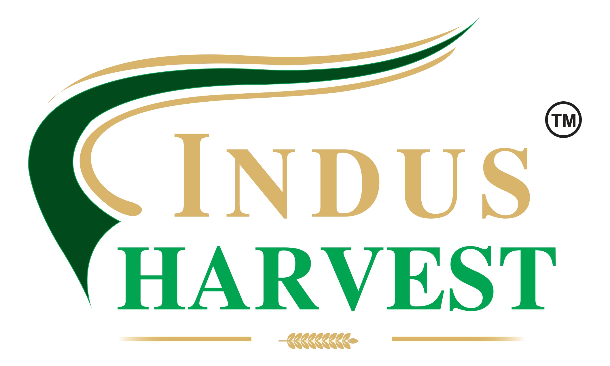 Indus Harvest - Premium Rice Wholesale in India | Quality Basmati & More